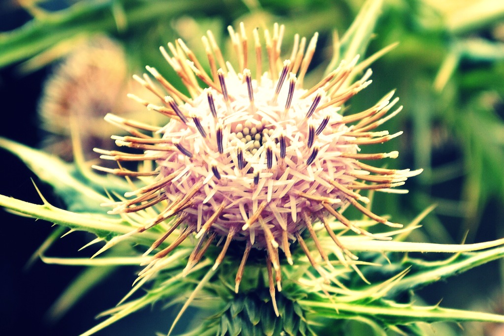 The 4 Lakes of Kabayan (Benguet, Philippines) – No Juan Is An Island