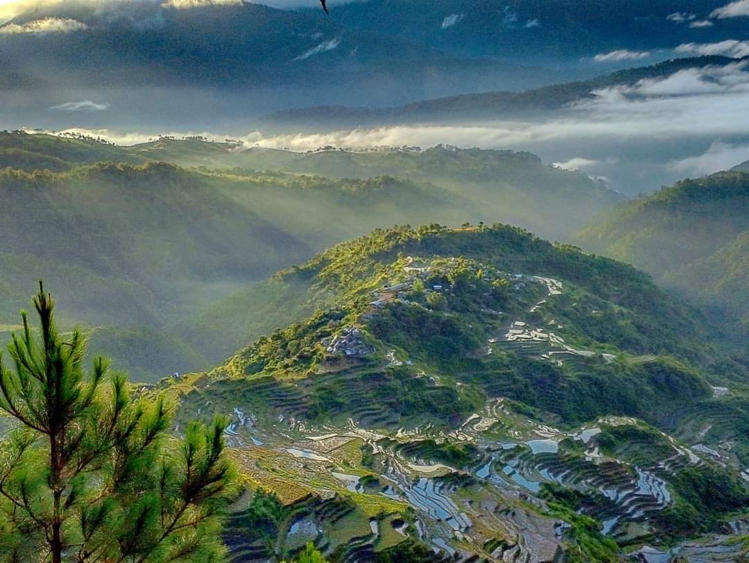 Mt. Kupapey & the Maligcong Rice Terraces, Bontoc 🇵🇭 – No Juan Is An Island