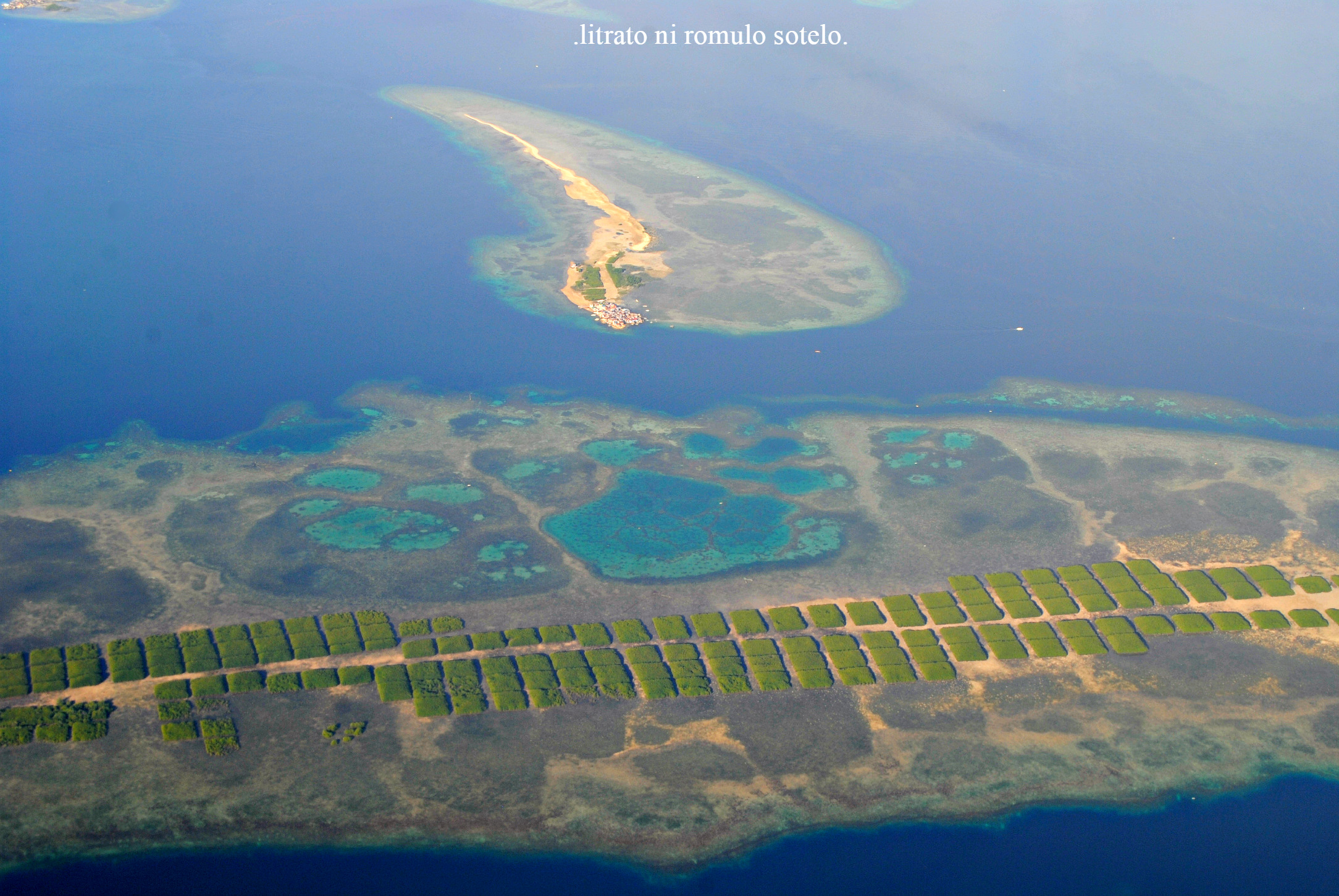 Banacon Mangrove Forest (Bohol, PH) – No Juan Is An Island