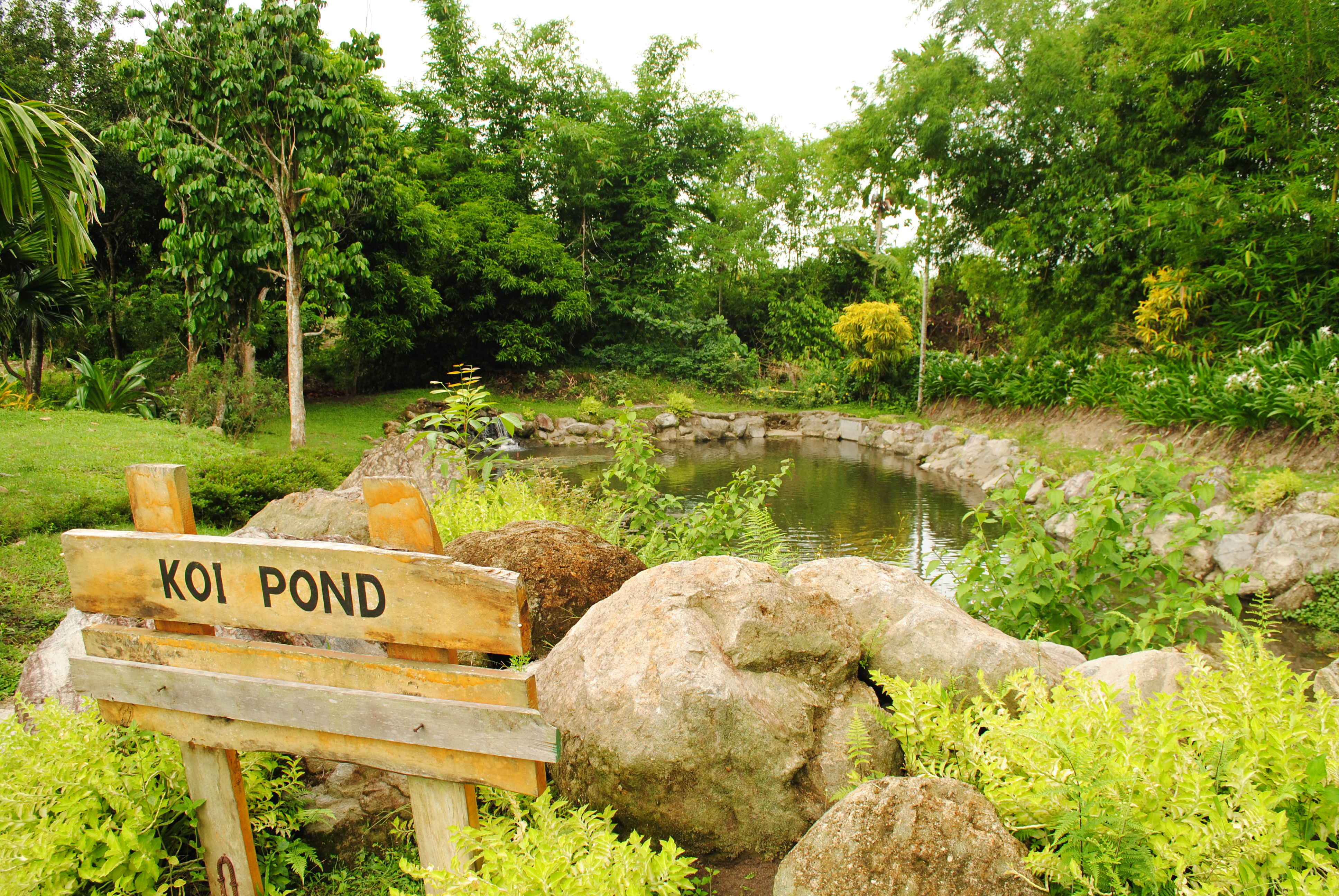 Bantug Lake Ranch (Negros Occidental, PH) – No Juan Is An Island