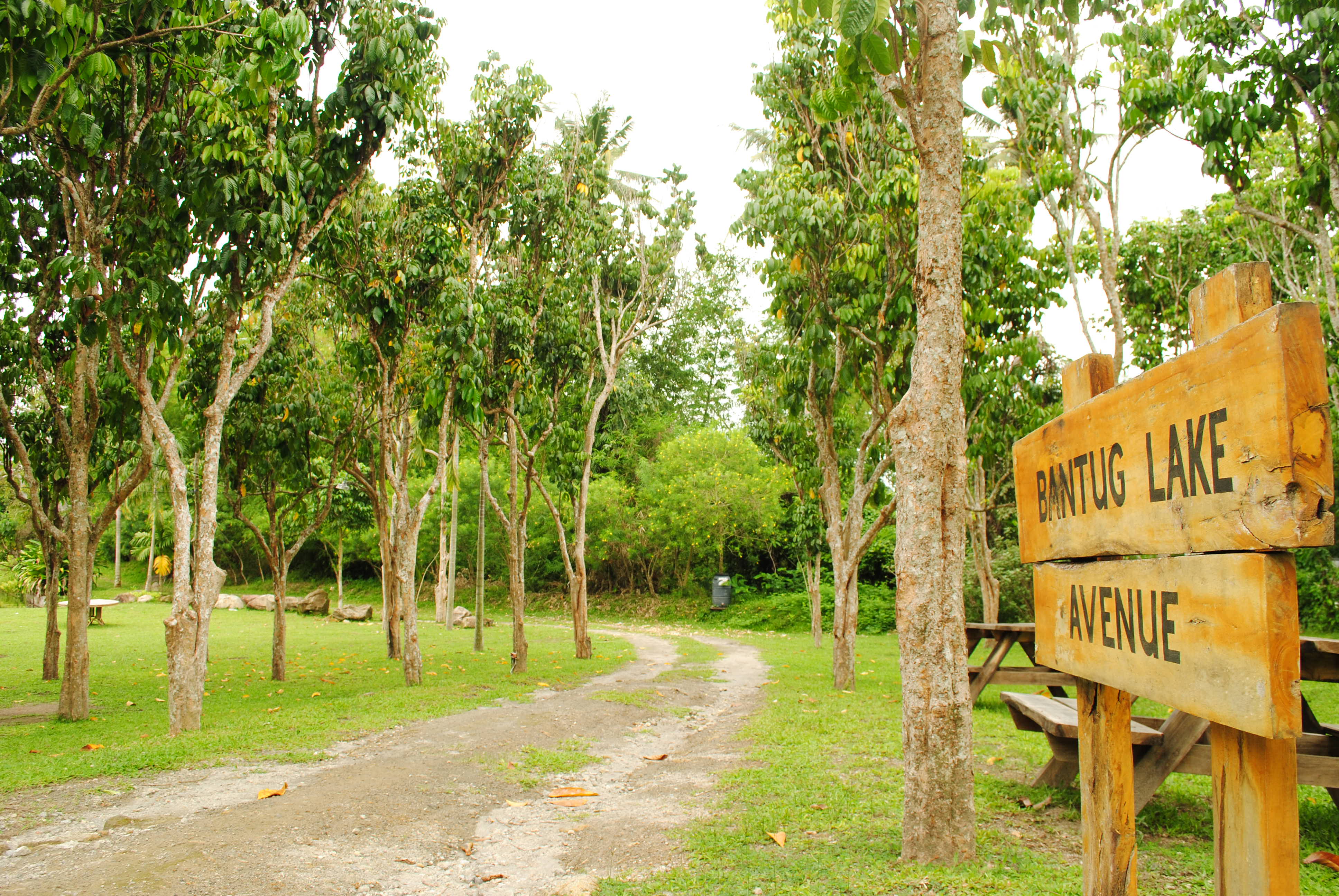Bantug Lake Ranch (Negros Occidental, PH) – No Juan Is An Island