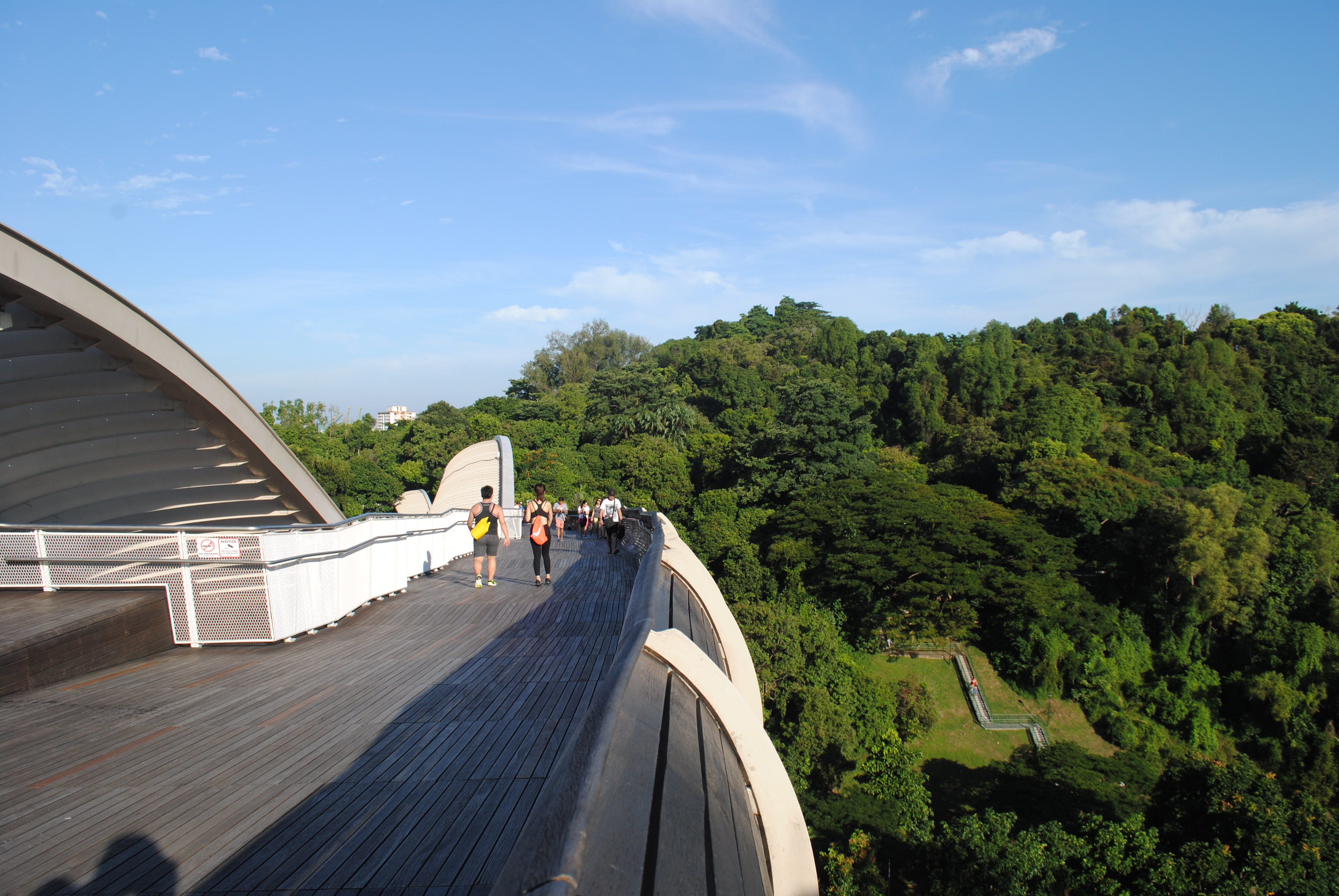 A Walk Through Singapore’s Southern Ridges Trail – No Juan Is An Island