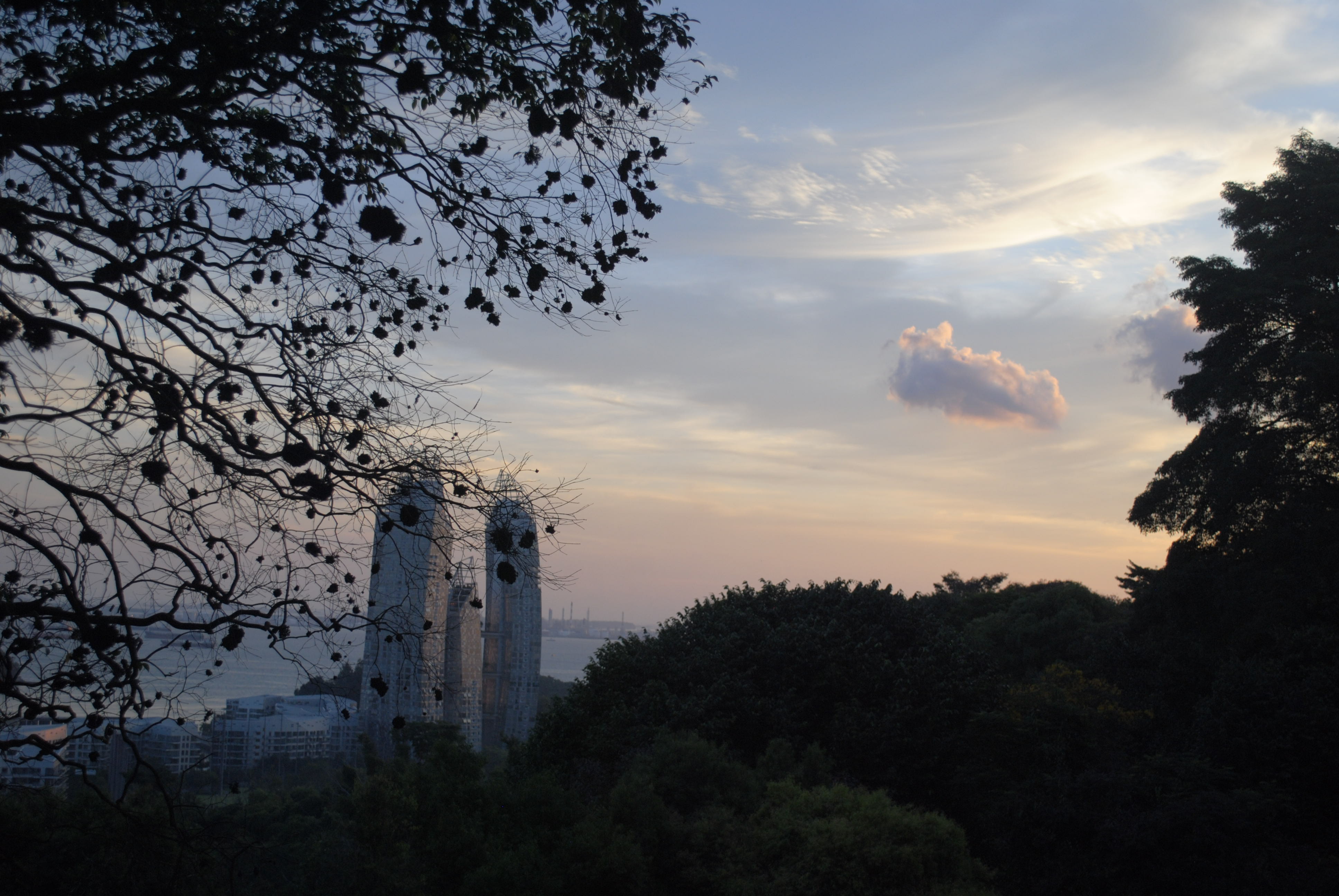 A Walk Through Singapore’s Southern Ridges Trail – No Juan Is An Island