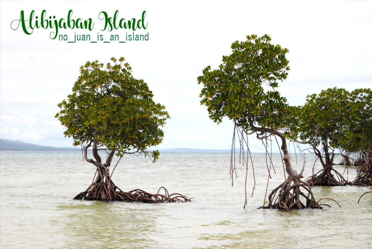 Alibijaban Island (Quezon, Philippines) – No Juan Is An Island