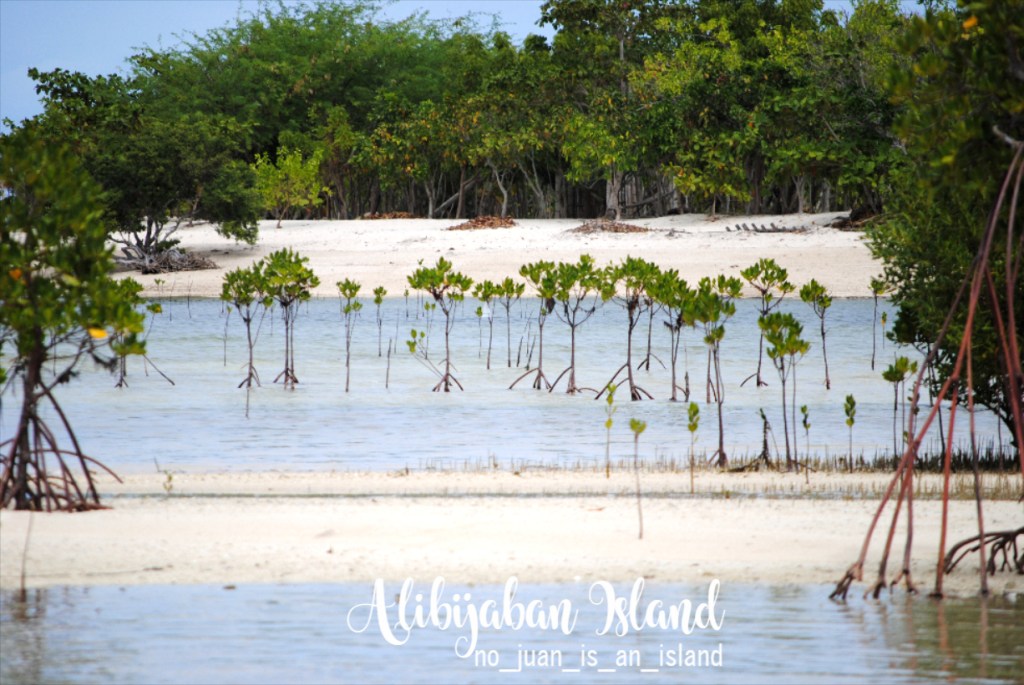 Alibijaban Island (Quezon, Philippines) – No Juan Is An Island