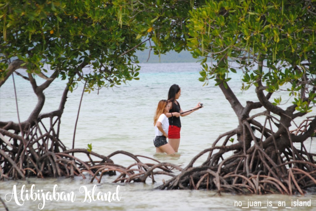 Alibijaban Island (Quezon, Philippines) – No Juan Is An Island