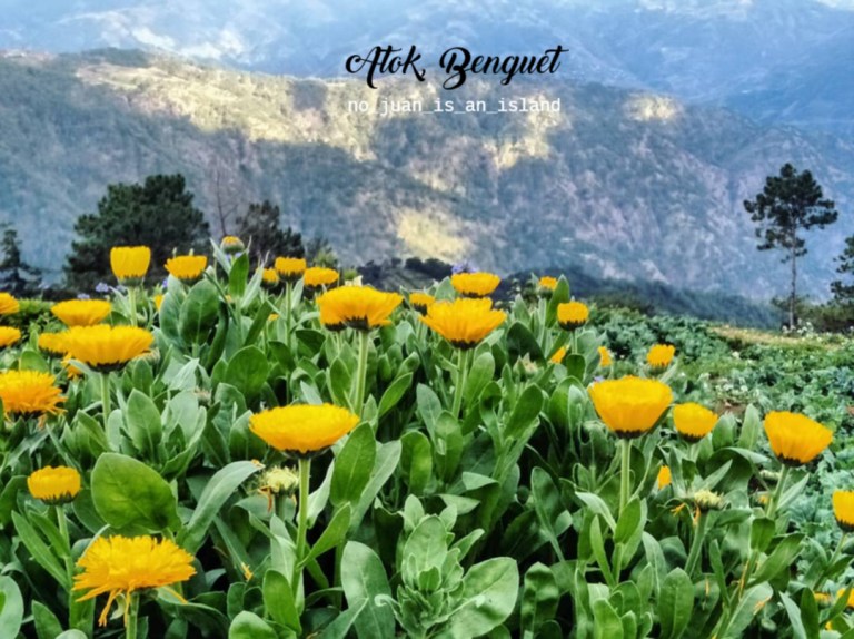 Let’s Talk about Atok 🌸 Benguet 🇵🇭 – No Juan Is An Island