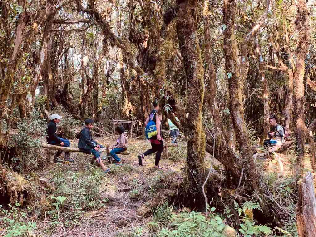 Buguias: Northern Philippines’ Vegetable Basket – No Juan Is An Island