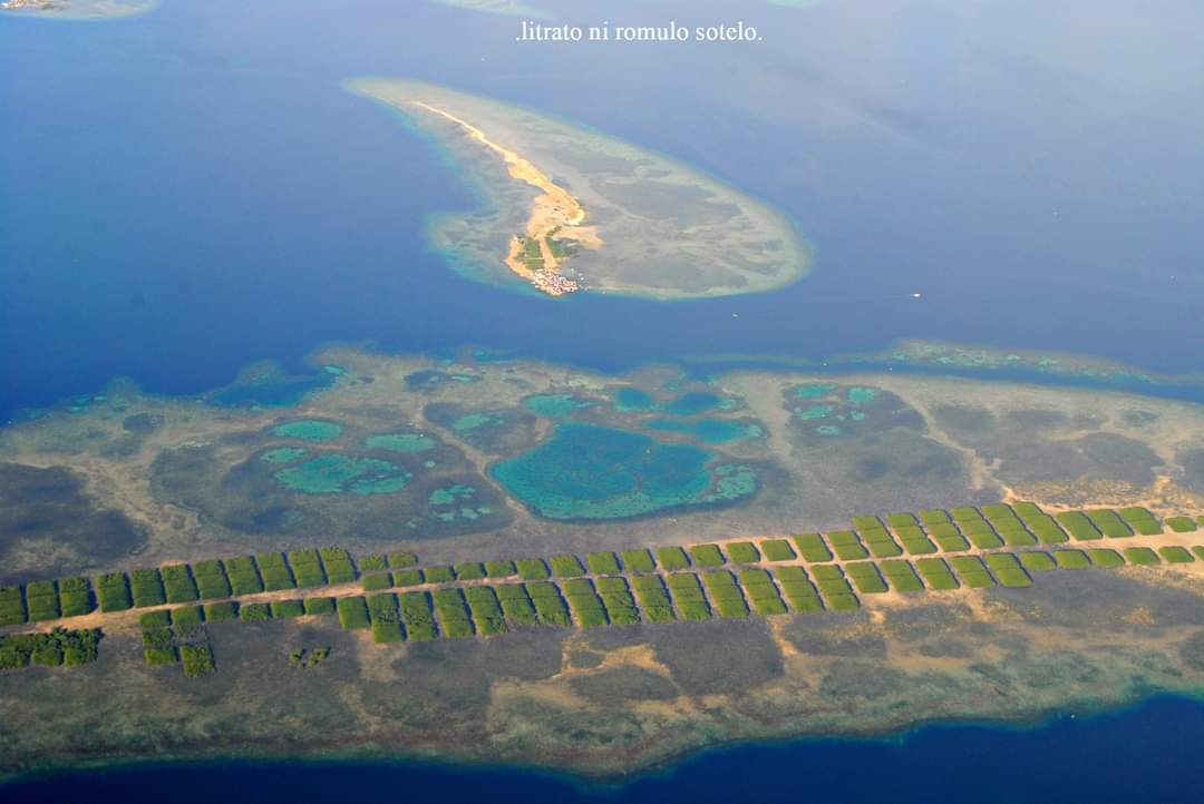 FB_IMG_1690289464300 – No Juan Is An Island