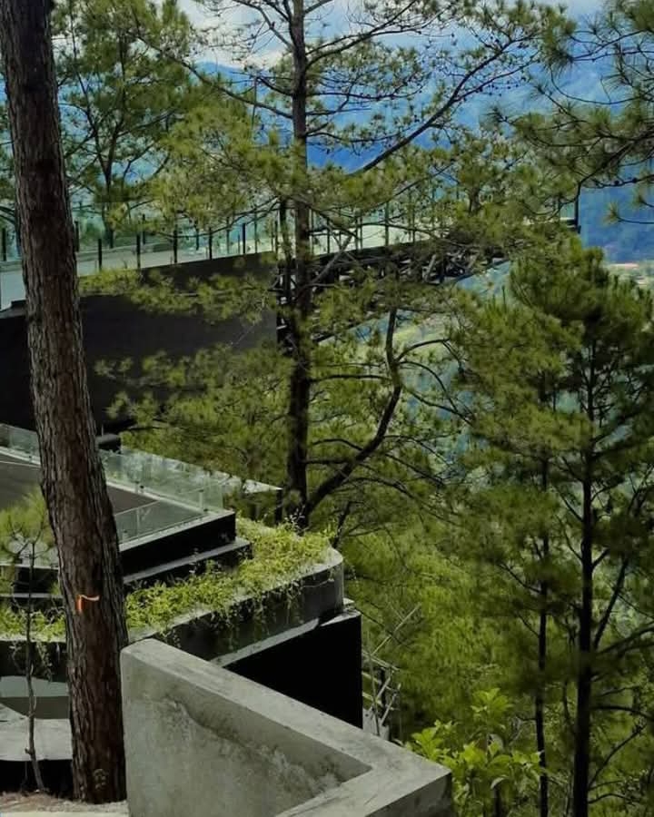 Mt. Camisong: Fostering a Space to Commune with Nature (Itogon, Benguet 🇵🇭) – No Juan Is An Island