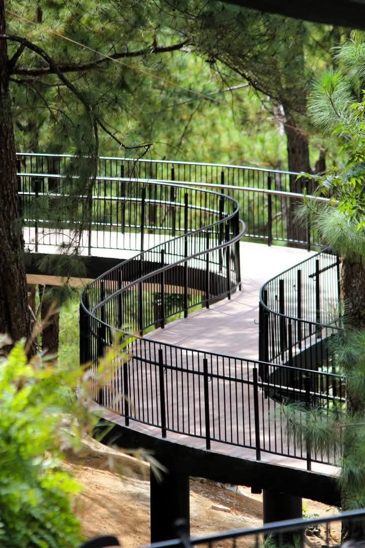 Mt. Camisong: Fostering a Space to Commune with Nature (Itogon, Benguet ...